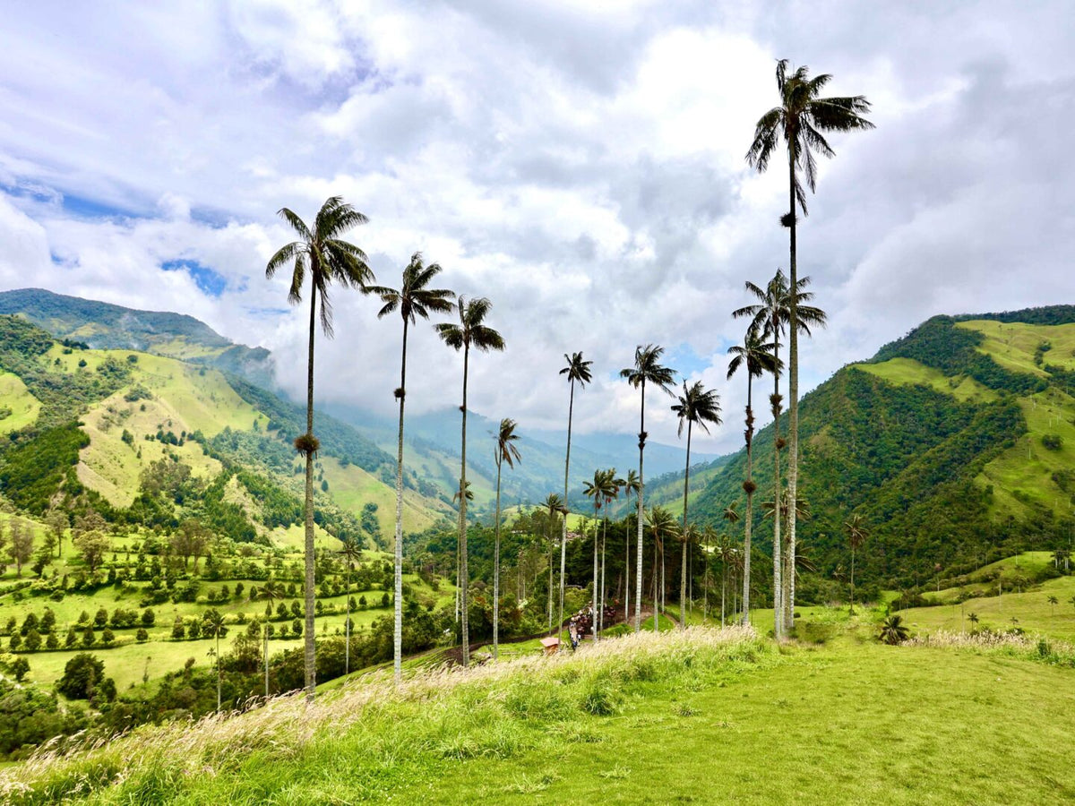 Unveiling the Gem: Discovering Why Armenia, Colombia Reigns as the Ult ...